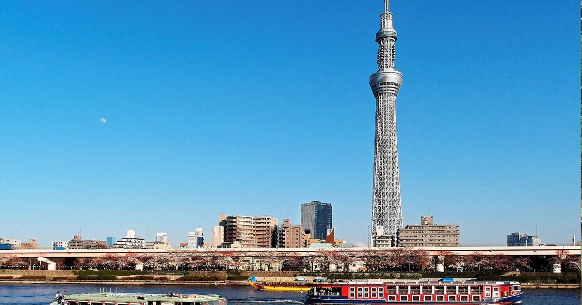 6 Days Tokyo Surrounding Tour Live Nippon Multi Day Tours